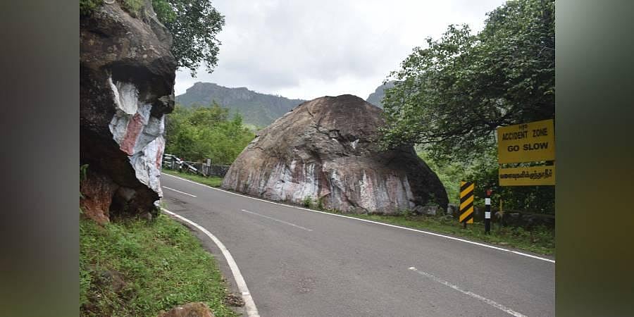 Akka-thangachi kal in Coimbatore's Kalhatti: Lore or real?