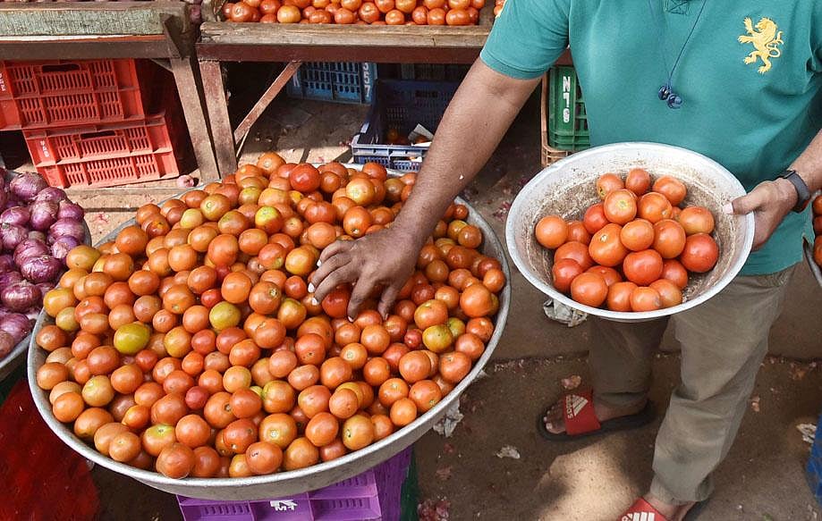 Farmers worried as tomato prices likely to fall again