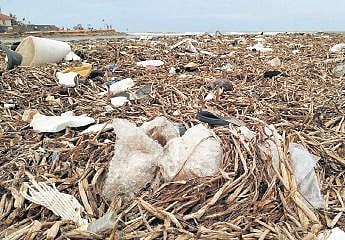 For a beautiful, plastic-free coast