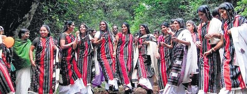 New forest conservation rules spark a fight