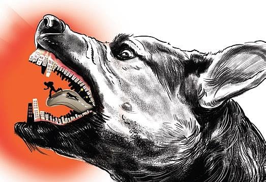 Deeper bite wounds caused rabies deaths of six: Panel