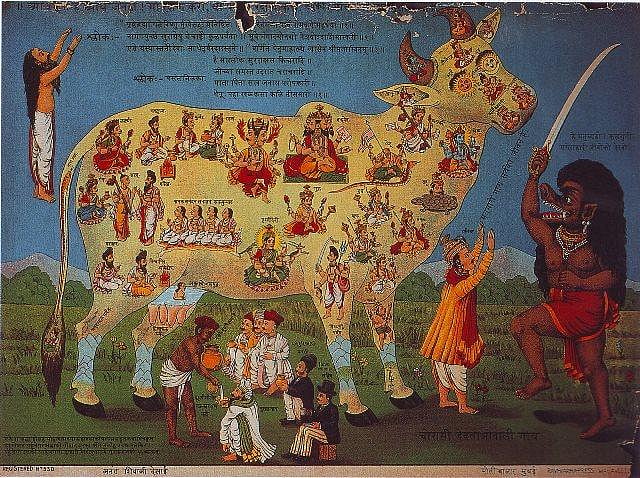 Imaging holy cow as Mother India