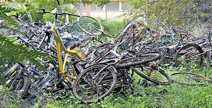 Bicycles dumped at NIT-T campus 'graveyard' gets restored to life