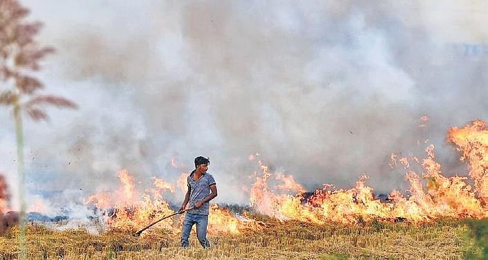 Delhi, Punjab to jointly curb stubble burning, to use bio-decomposer