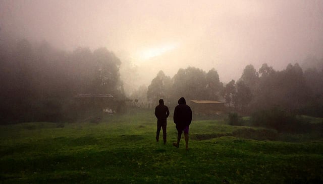 Wrapped in fog, Kerala's Munnar woos travel buffs