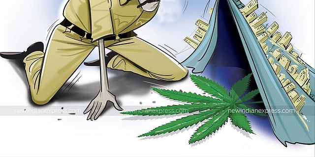 200 kg ganja seized in Chennai; two held