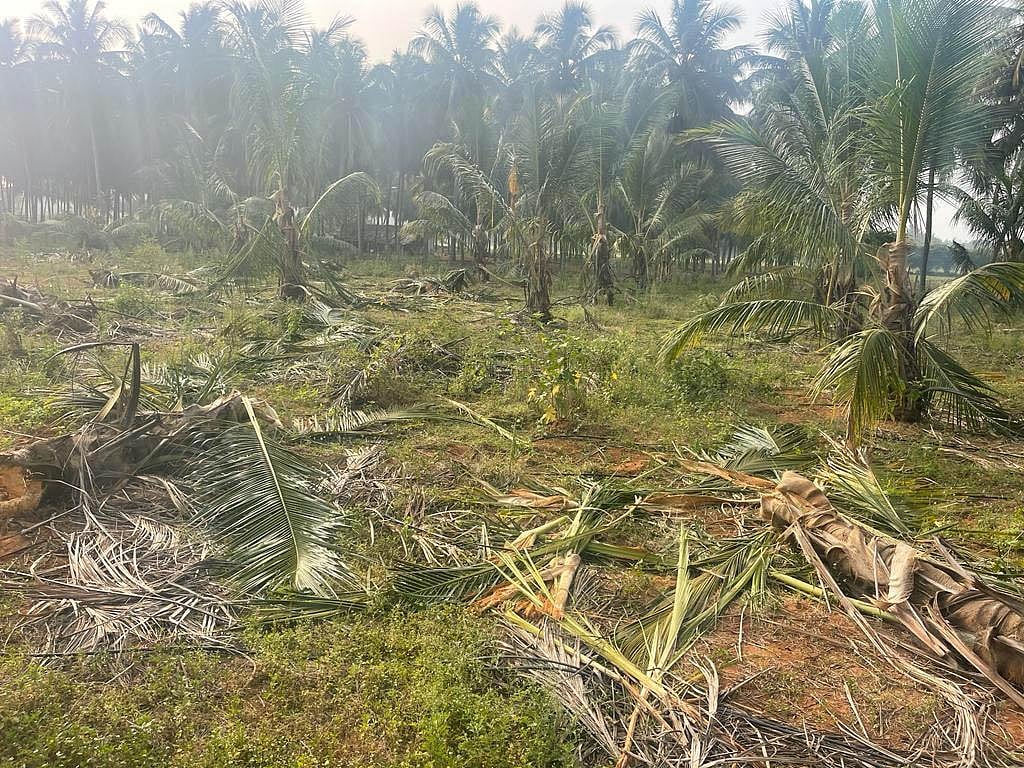 Take steps to control wild animal intrusion: Association