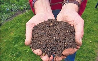 Compost, the way ahead