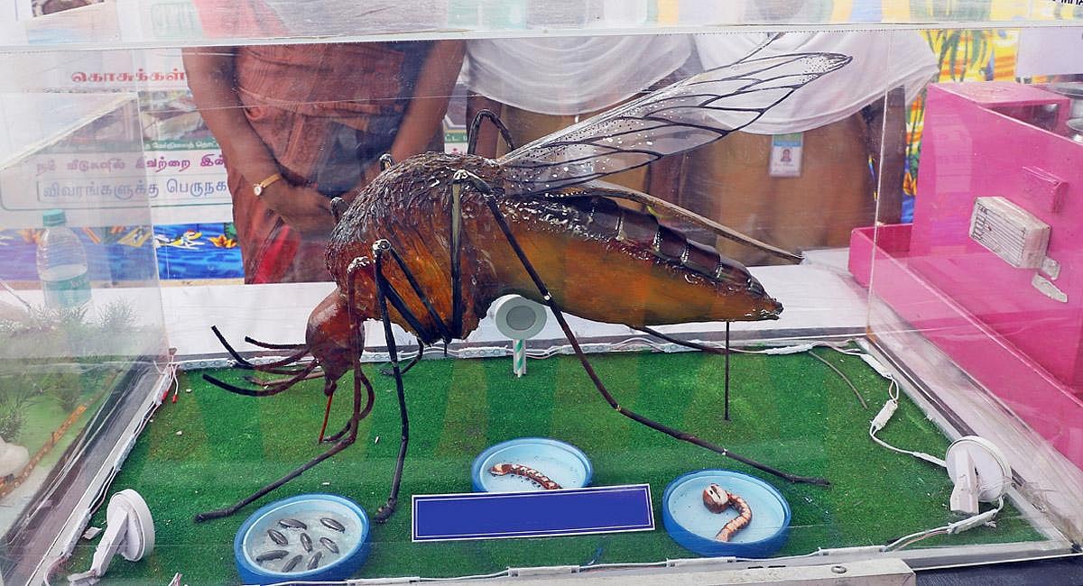 At 10,734, Kerala reports most dengue cases