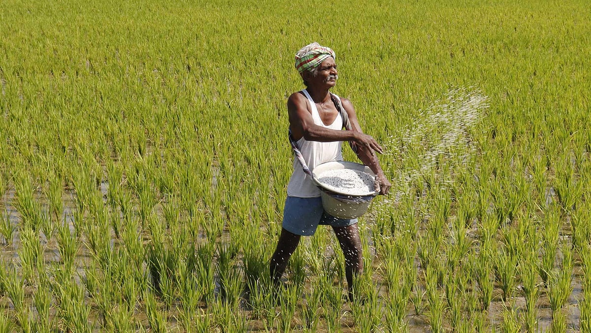 Single crop farmers to get water for 10 days, say it does not serve any ...