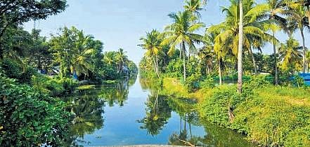 Vijayam canal: A 100-year-old canal that was born out of ‘hunger’
