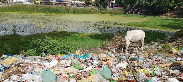 Pond built during Thondaiman dynasty in Pudukkottai town now a dump ...