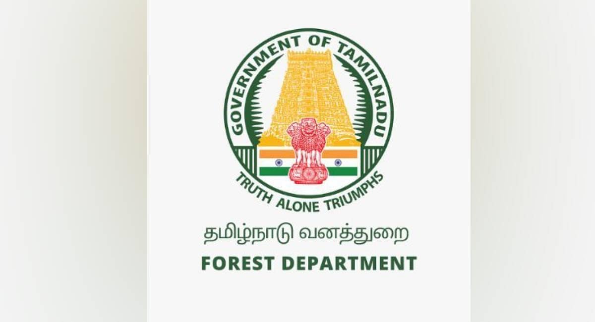 Invasive weeds in 7,411 hectares removed in Western Ghats: TN forest dept
