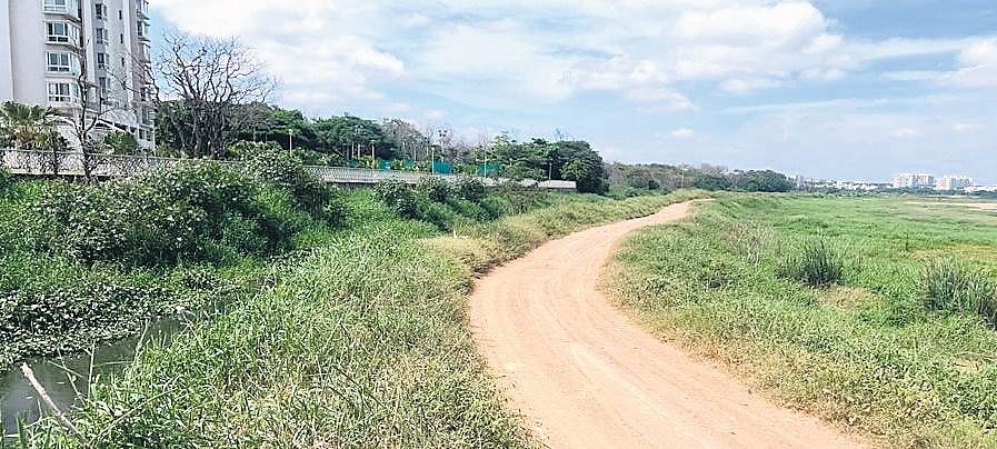 No road on Bellandur Lake, only canal, bund: Bangalore Development ...