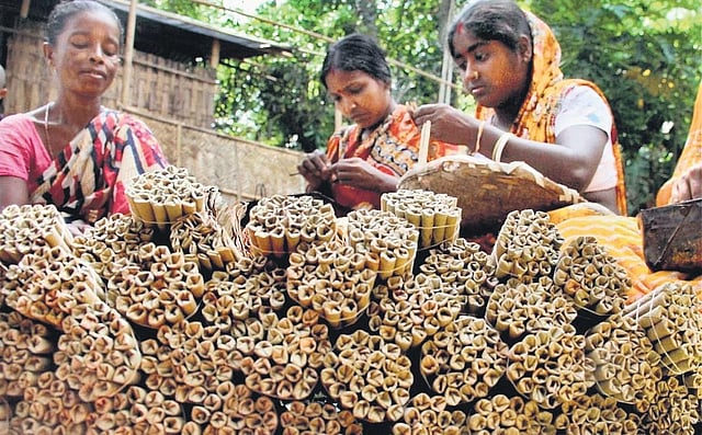 Grave health risk for women bidi workers, says study
