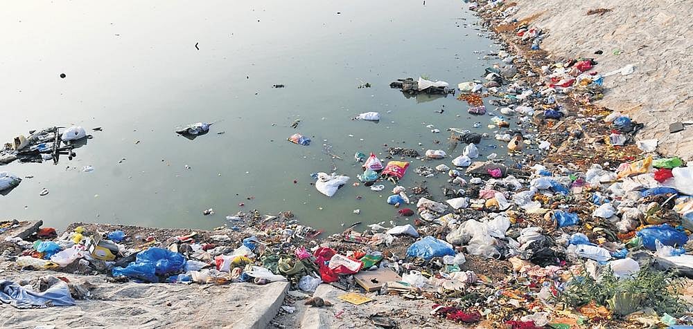 Cake boxes, plastic waste dot Rangadhamuni lakefront park