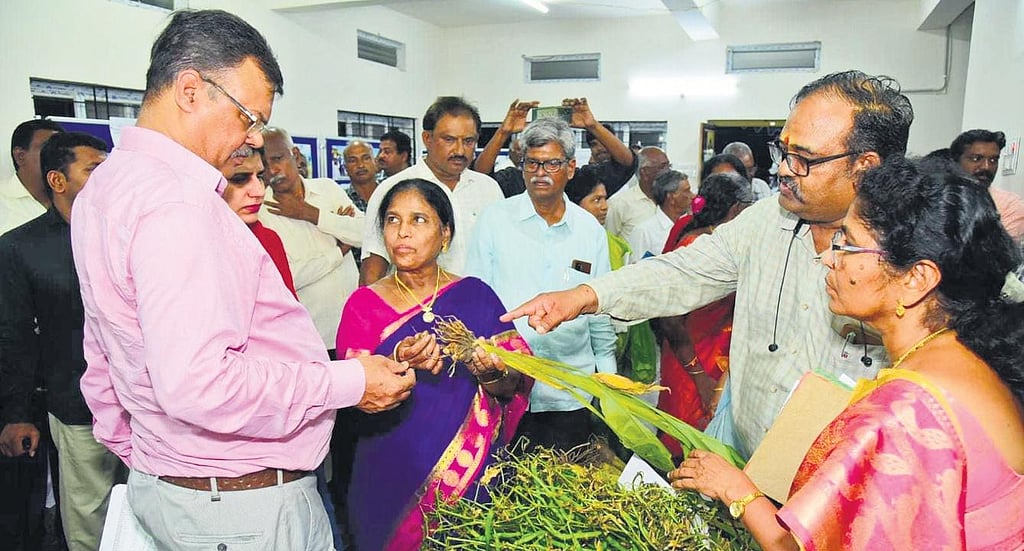 Cyclone Michaung: Crops in 93k ha damaged in Bapatla