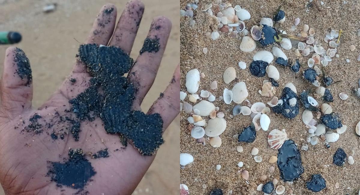 Oil spill reaches ecologically-sensitive Pulicat, officials say ...