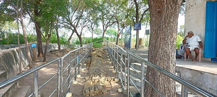Tourists, residents decry lack of bus service and security at Sathanur ...
