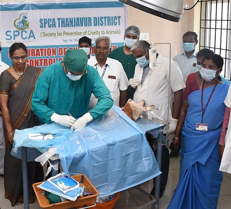 SPCA starts operating animal birth control centre in Thanjavur