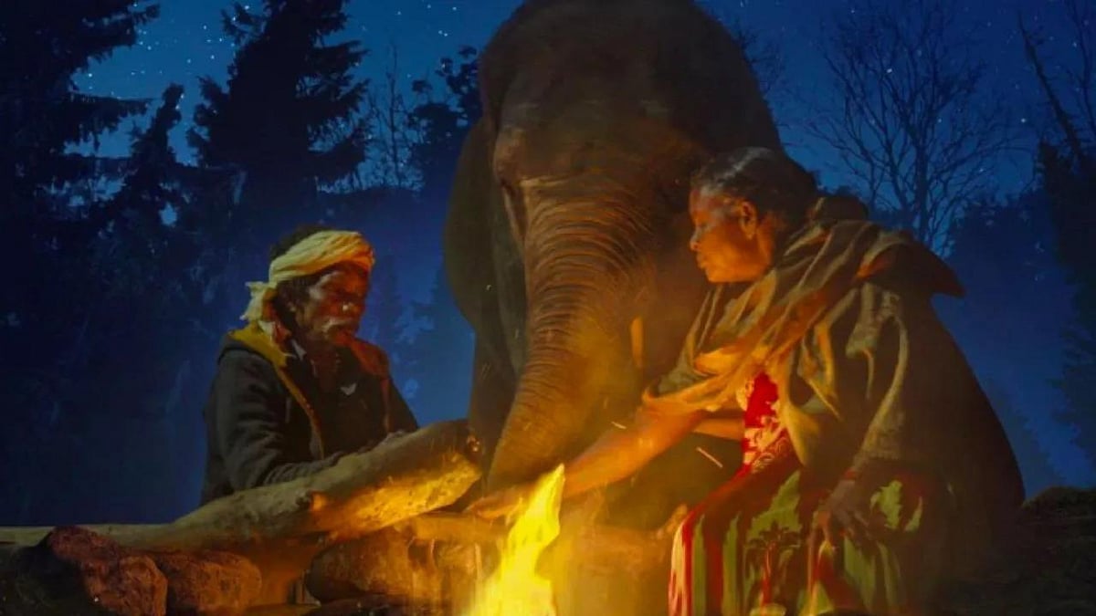 Madras HC had intervened to relocate Ammu of 'The Elephant Whisperers'