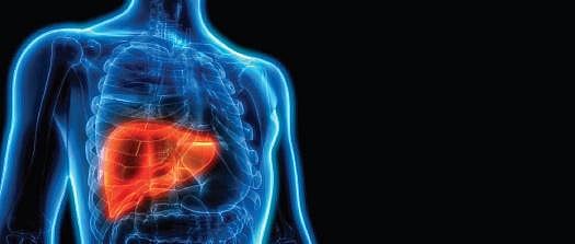 Take care of your liver