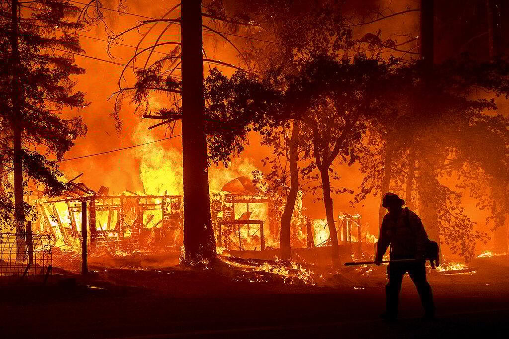 Govt moots special task force to tackle forest fire