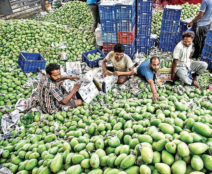 Hope blossoms for Bihar farmers as flowers bloom copiously on mango trees
