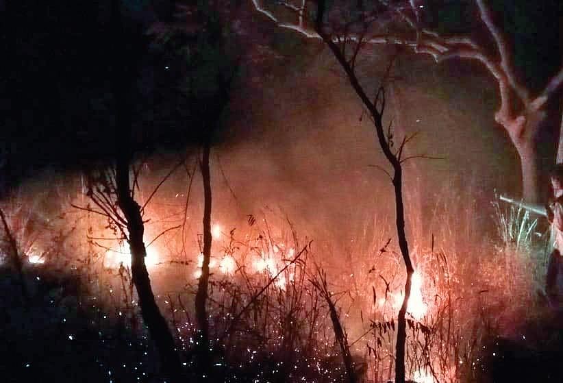 Forest department training tribals, staff on how to avoid fire ...