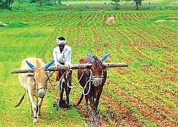 Acquisition of land for Kodakandla mini textile park leaves farmers irate