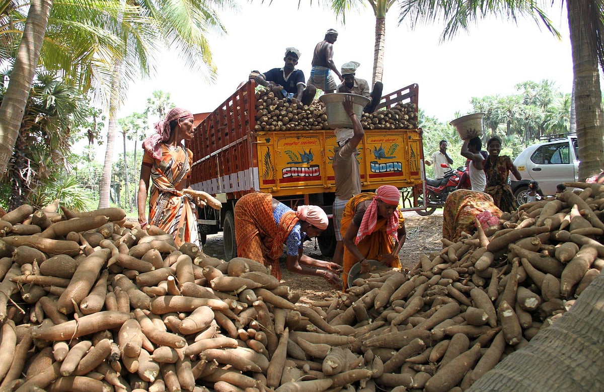 Dharmapuri farmers urge state govt to establish cooperative mill for ...