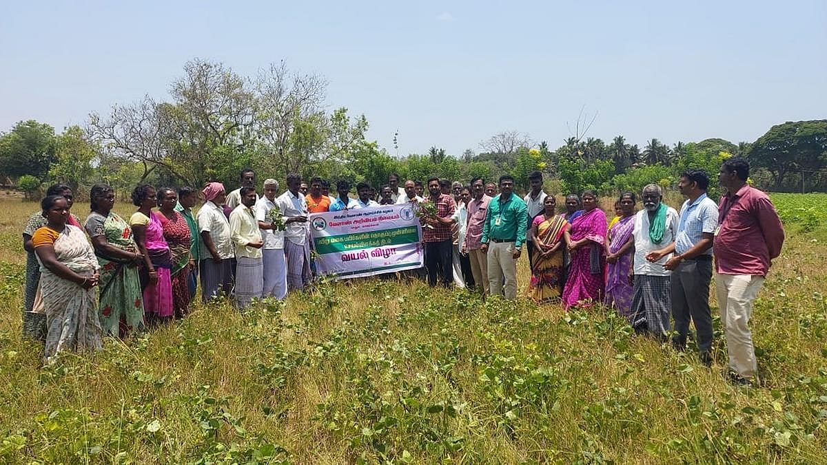 Pulse crop farming to get fillip after KVK experiment proves successful