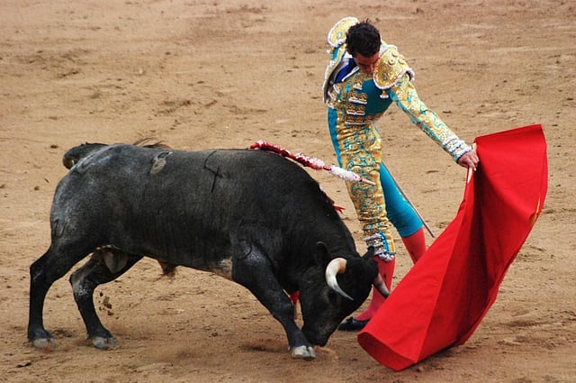 'Look brave': Children taught bullfighting at Venezuelan torero school