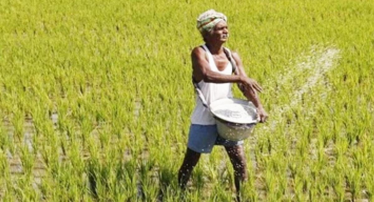Summer crops acreage declines amid forecast of weak monsoon