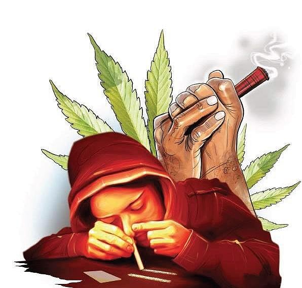 With 5.5 lakh kg ganja haul, Odisha achieves rare high