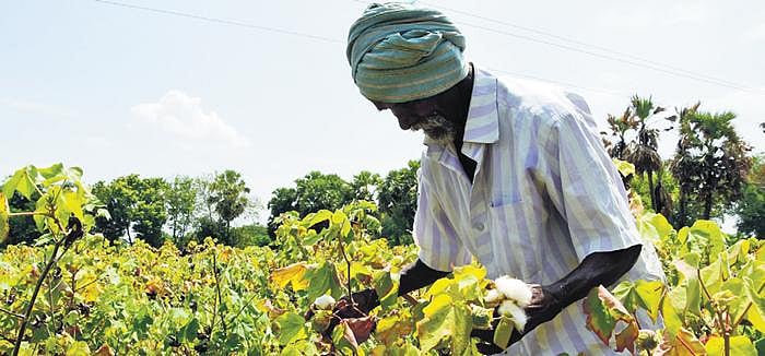 Opt for E-NAM facility to sell cotton, agri dept officials tell farmers
