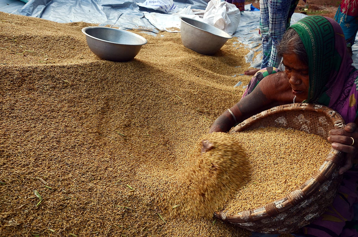 Cabinet announces hike in MSP for kharif crops in 5% to 10% range