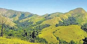 167 hectares of land recovered from encroachers in Idukki: Report