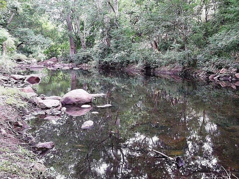 ‘Construct check dams on Chinnar river basin to address water scarcity ...