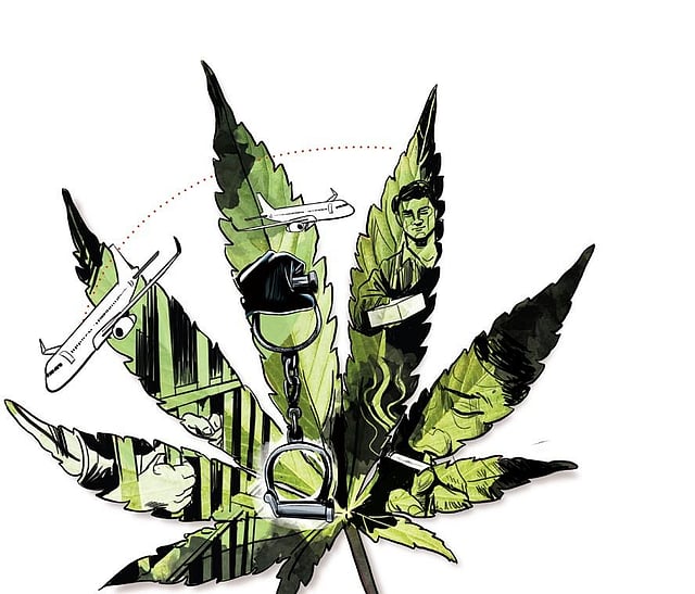 Drive against ganja: Over 50 held in 6 months under 'Operation ...