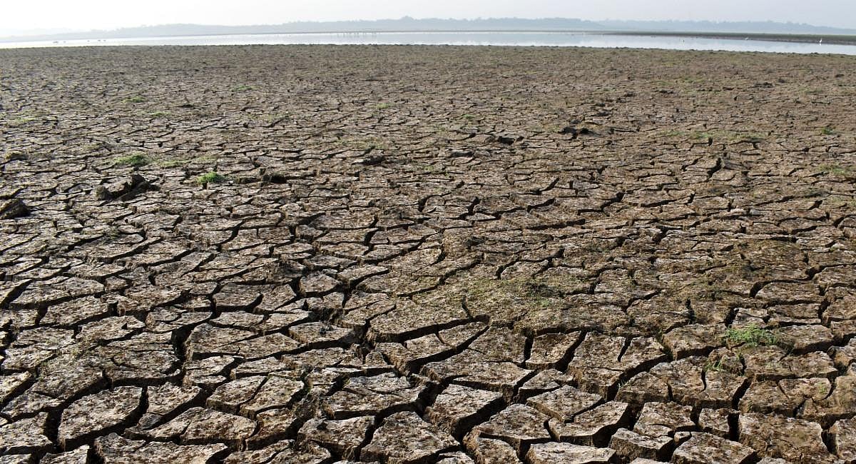 India set for a record 11-day dry spell during this southwest monsoon