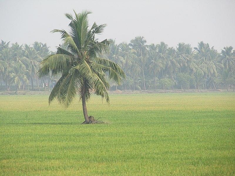 Two West Godavari villages in Andhra win national acclaim for 'vikas' model