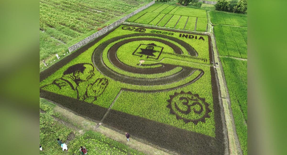 70-year-old Nizamabad man promotes farming through unique paddy art