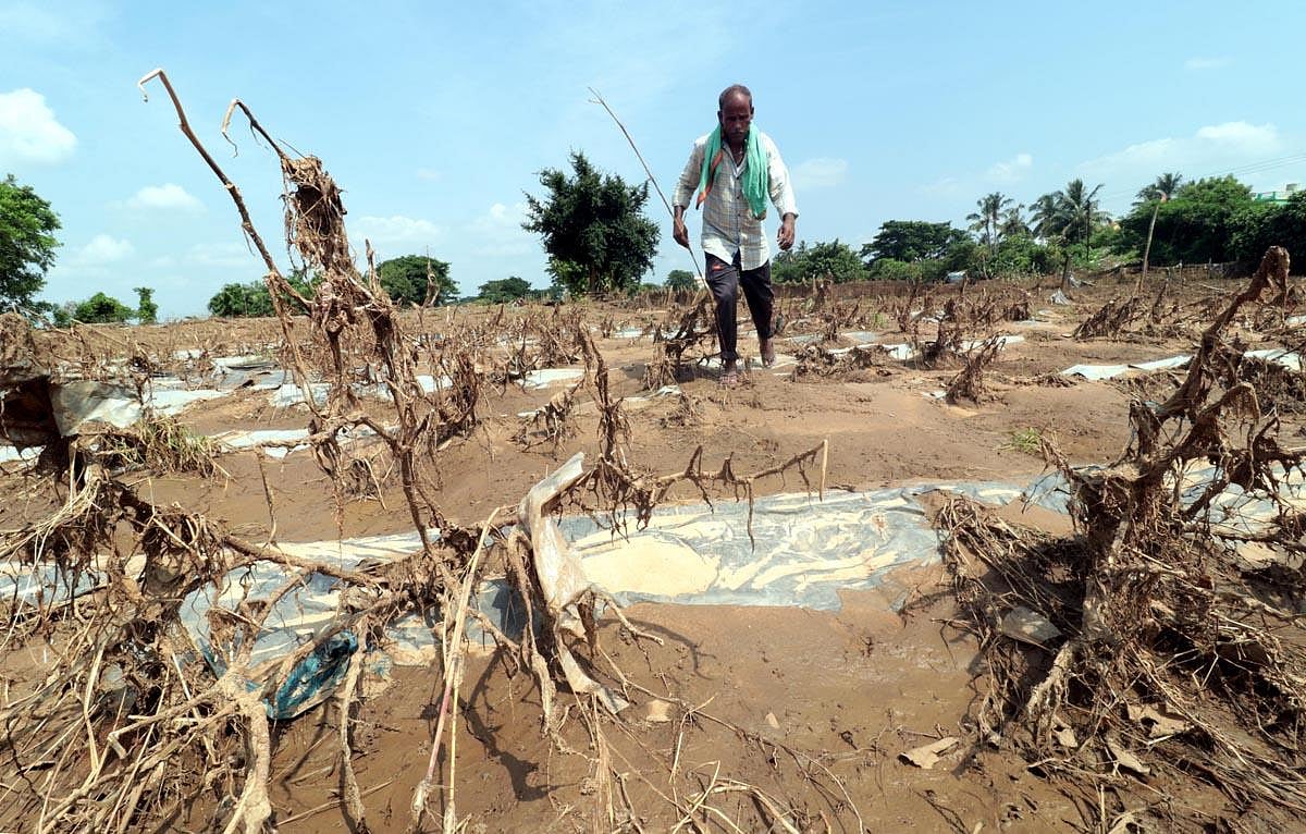 Embankment collapse: Odisha locals blame ‘poor work’