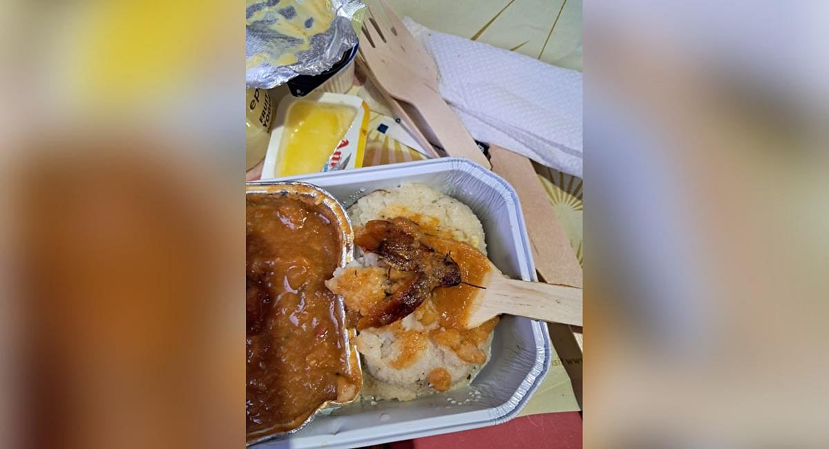Bengaluru flyer finds cockroach on Air India meal