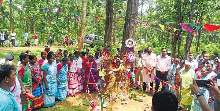 Tie rakhi to trees with promise to save them: RCCF