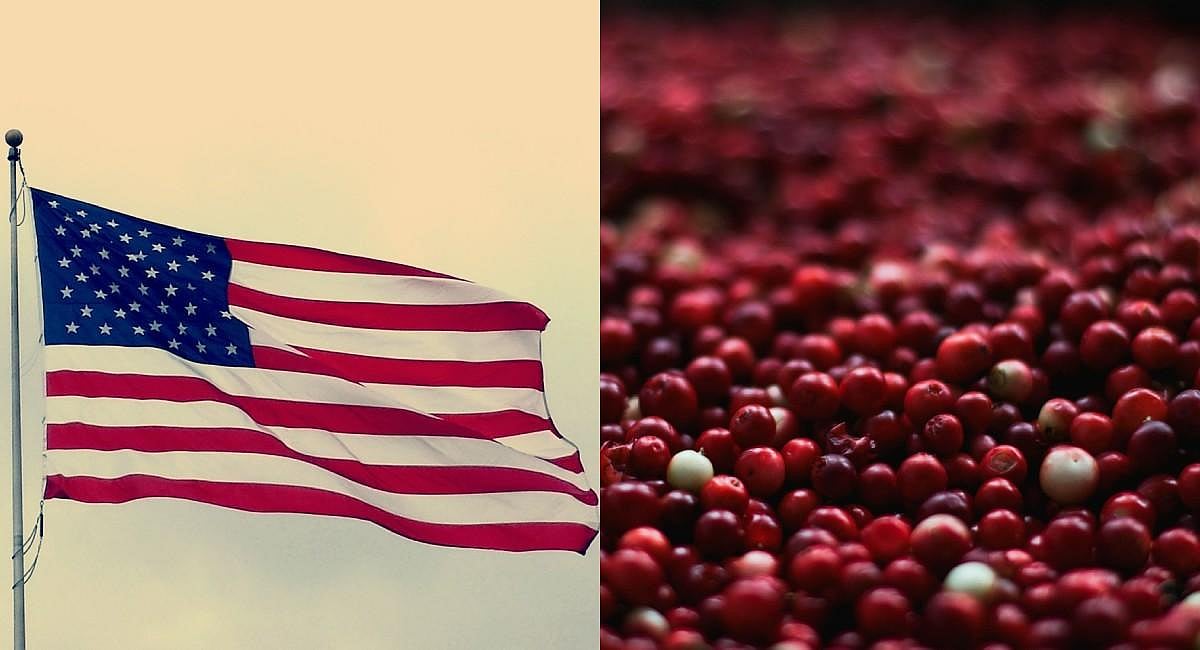 US welcomes India's nod to lower tariffs on several American ...