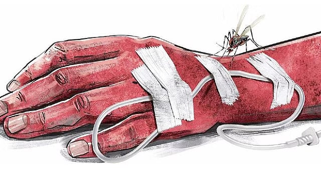 Dengue outbreak forces Bengal government to issue guidelines