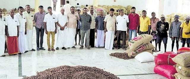 Nutmeg farmers in Tamil Nadu's Pollachi harvest the benefits of union