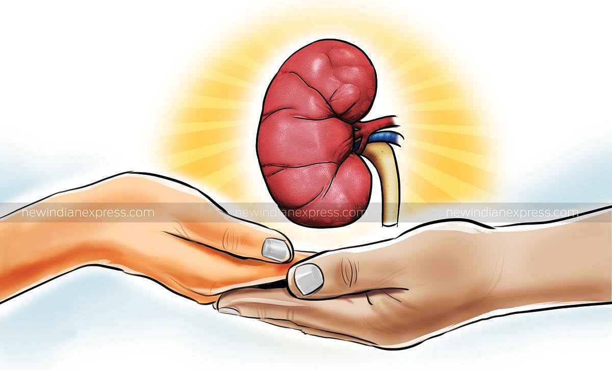 Uddanam water project, kidney centre ready